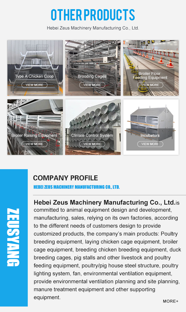 Ground Feeding Pipeline Drinking Water Equipment - Zeus