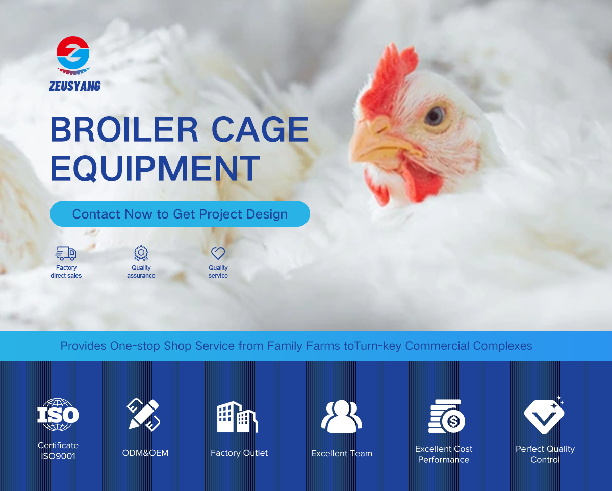 Stacked Broiler Cage System - Zeus