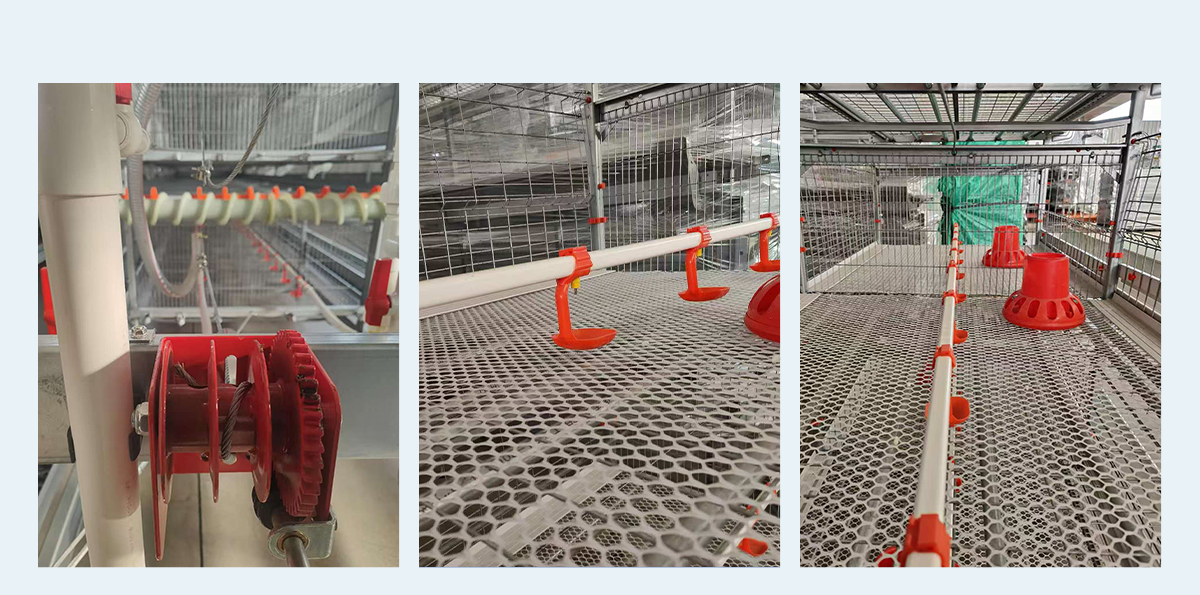 Stacked Broiler Cage System - Zeus