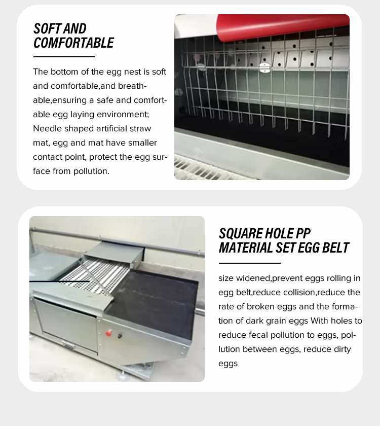 Automatic egg laying box for poultry and laying hens - Zeus