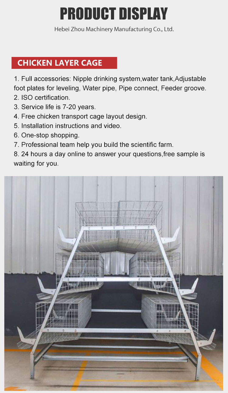 Type A laying hen cages - Zeus