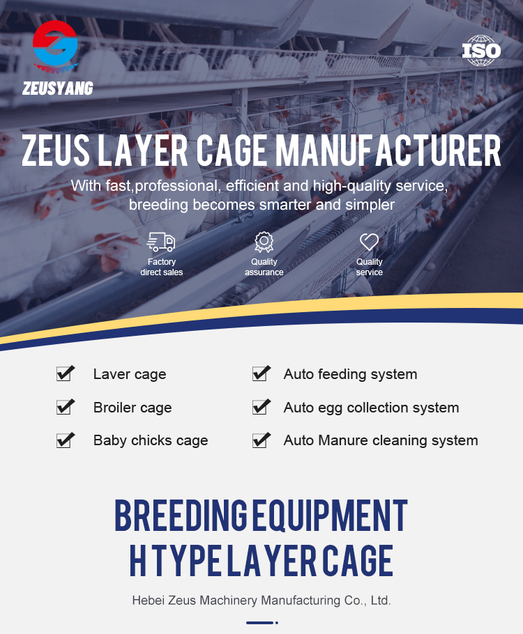 Large Stacked Laying Hen Cage - Zeus